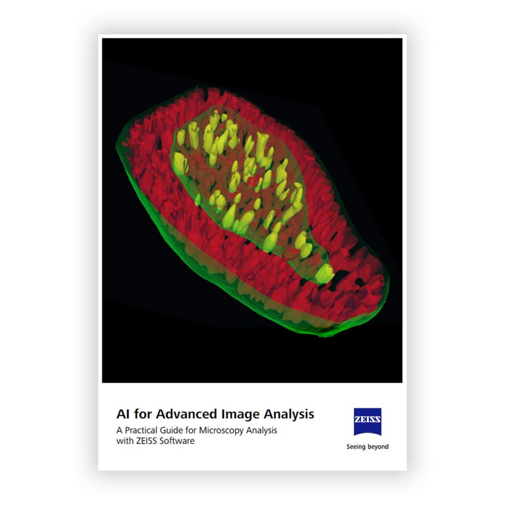 arivis AI eBook Advanced Image Analysis