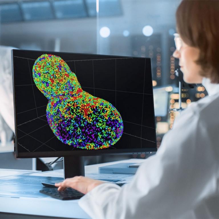 arivis AI-powered Bioimage Analysis