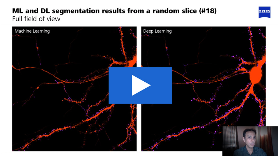 Thank you for registering