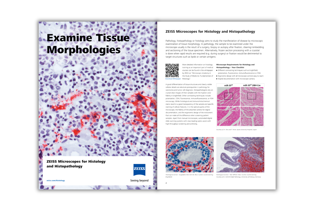 Histopathology Clinical Bundle