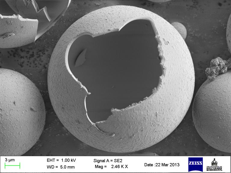 ZEISS Sigma Field Emission SEM