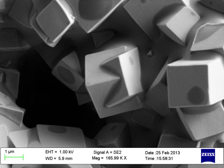 ZEISS Sigma Field Emission SEM