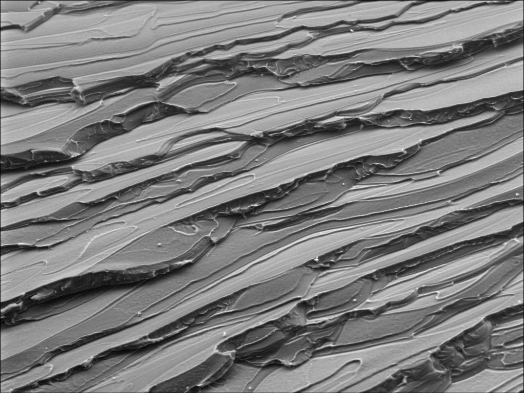 ZEISS Sigma Field Emission SEM