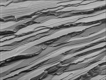 ZEISS Sigma Field Emission SEM